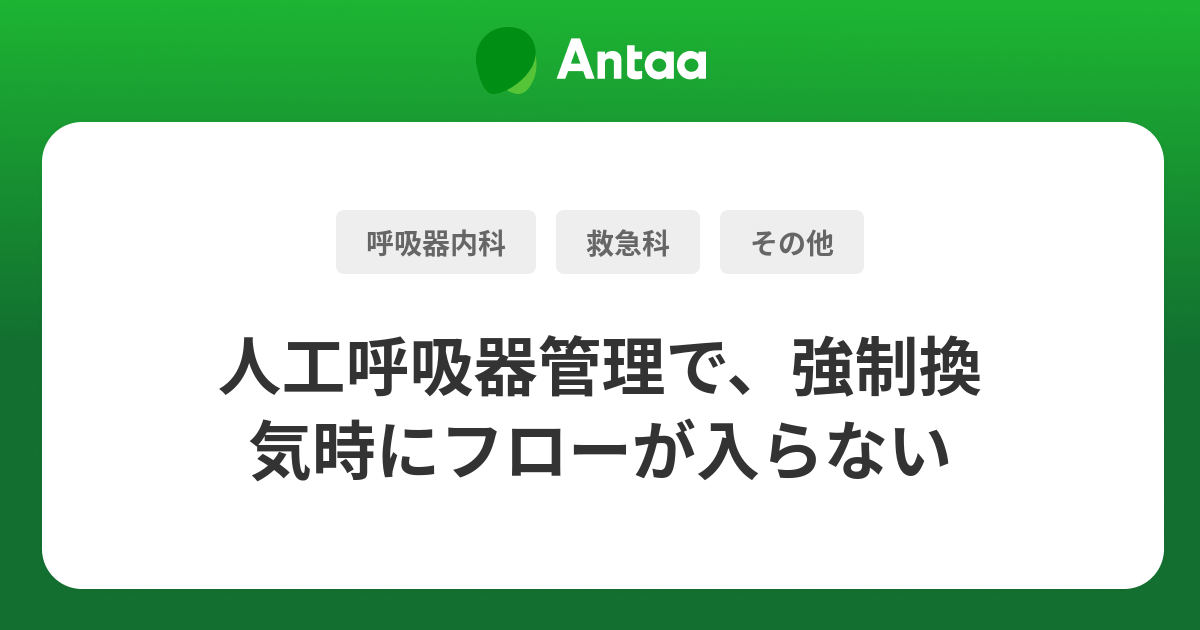 Antaa QA